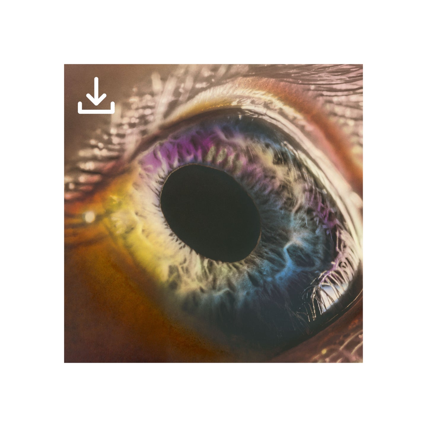 The Lightning II | Arcade Fire US | The Official Store